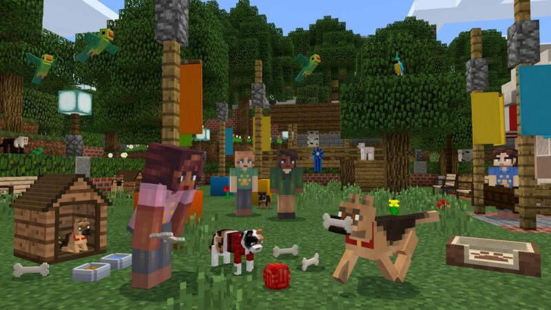 What Does SMP Stand For In Minecraft? | GamesBustop